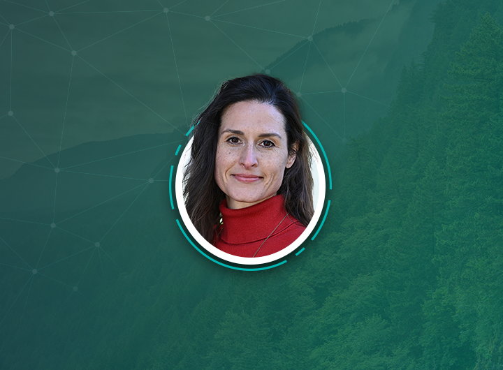 Student Enrollment Forecasting, Explained | FLO Analytics